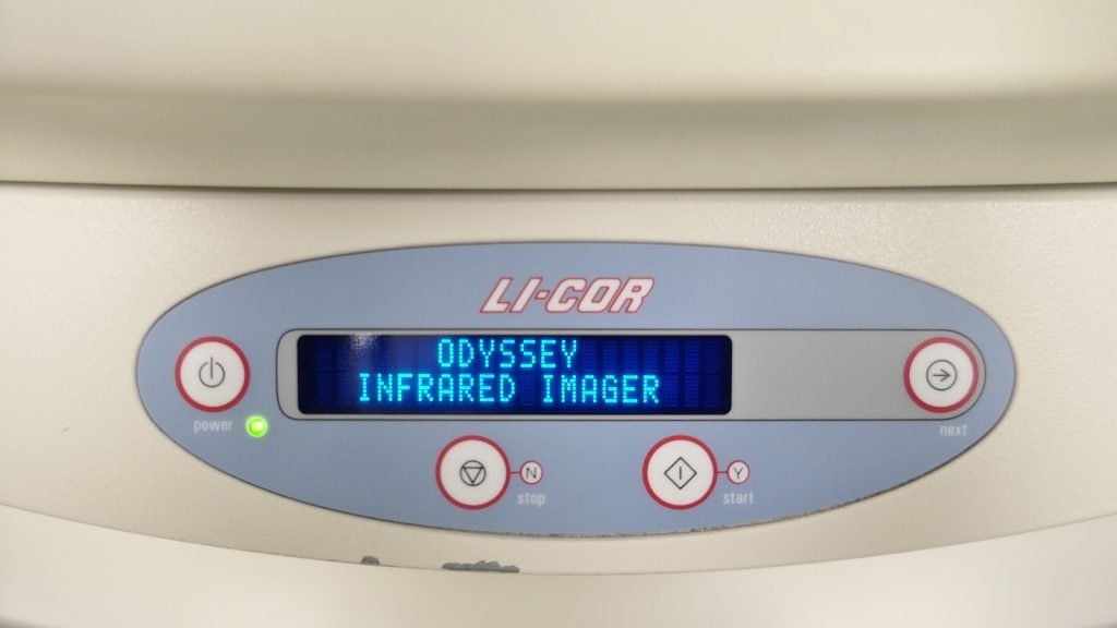 LiCor Odyssey Infrared Imaging System 9120