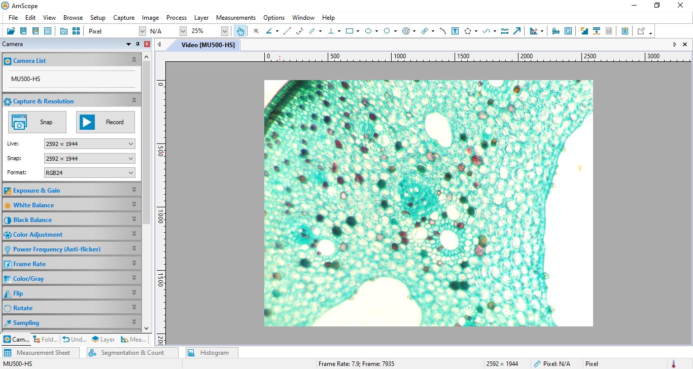 Nikon Eclipse E800 Fluorescence Microscope - TLWG