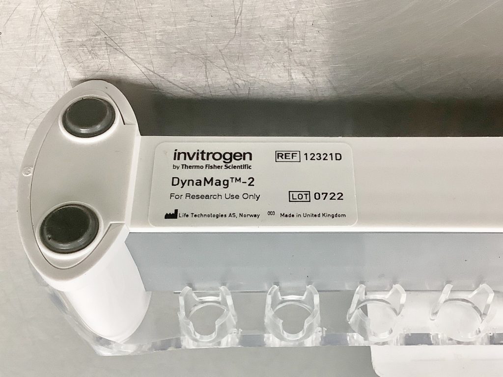 Invitrogen DynaMag Magnets - The Lab World Group