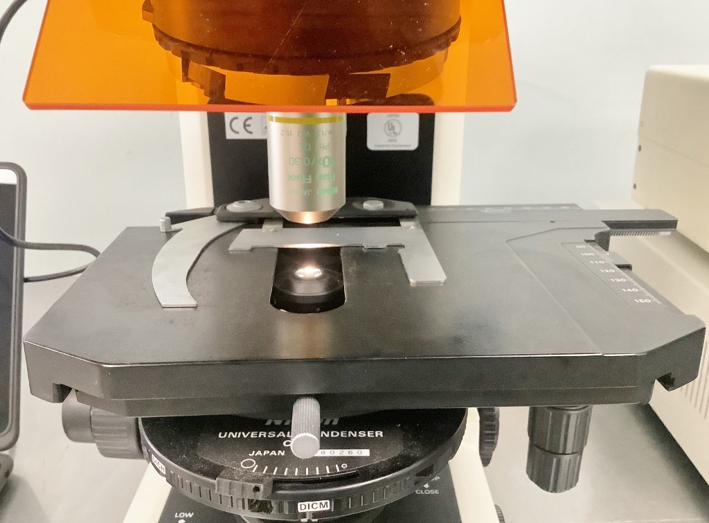 Nikon Eclipse E800 Fluorescence Microscope - TLWG