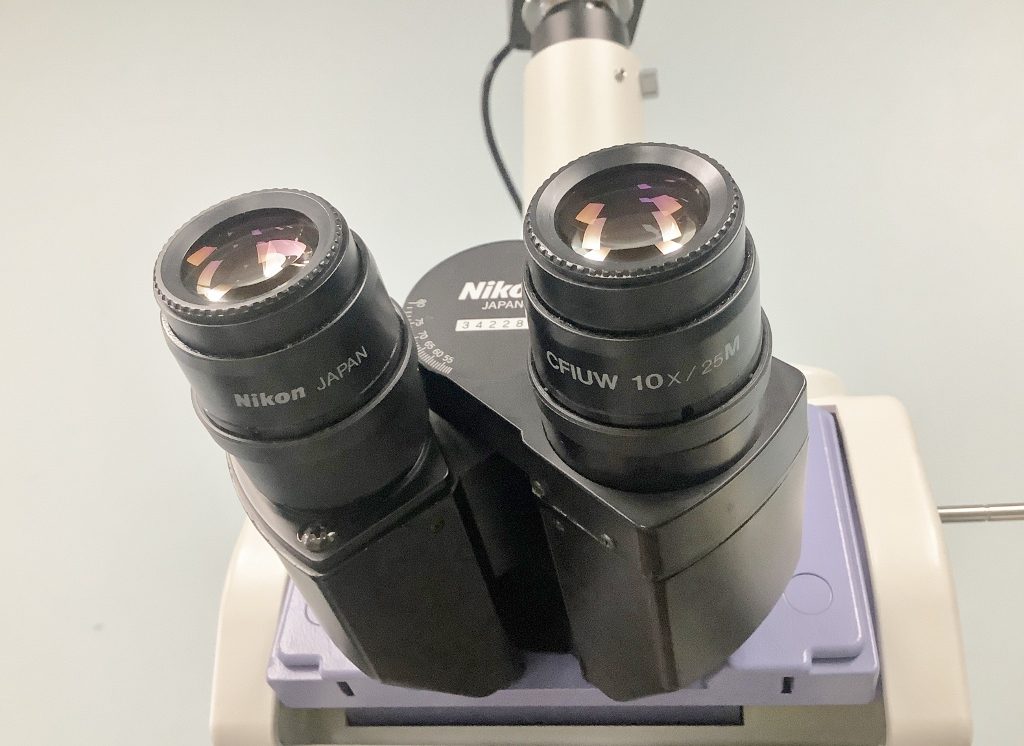 Nikon Eclipse E800 Fluorescence Microscope - TLWG