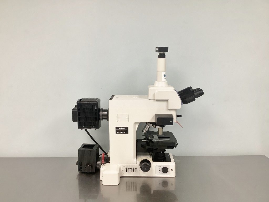 Nikon Eclipse E800 Fluorescence Microscope - TLWG