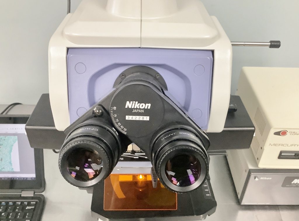 Nikon Eclipse E800 Fluorescence Microscope - TLWG
