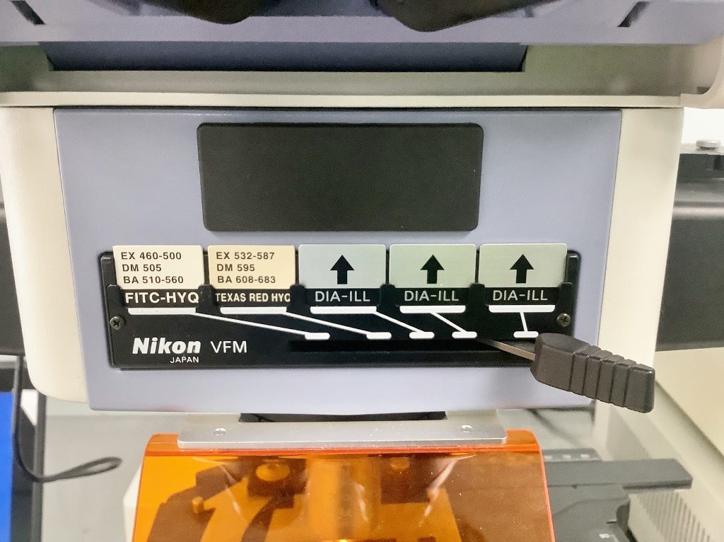 Nikon Eclipse E800 Fluorescence Microscope - TLWG