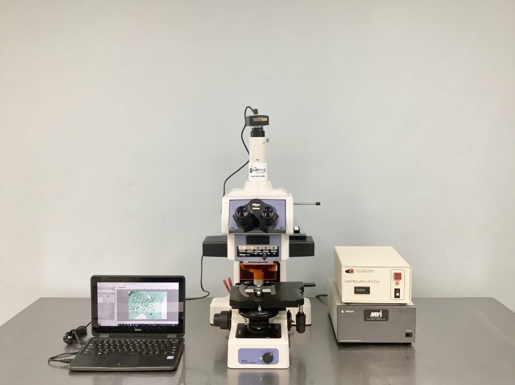 Nikon Eclipse E800 Fluorescence Microscope - TLWG