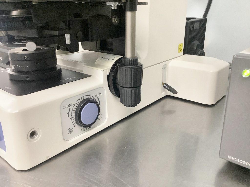 Nikon Eclipse E800 Fluorescence Microscope - TLWG