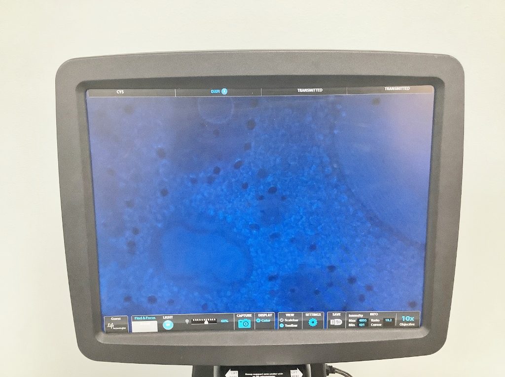 EVOS FL Digital Inverted Microscope - The Lab World Group