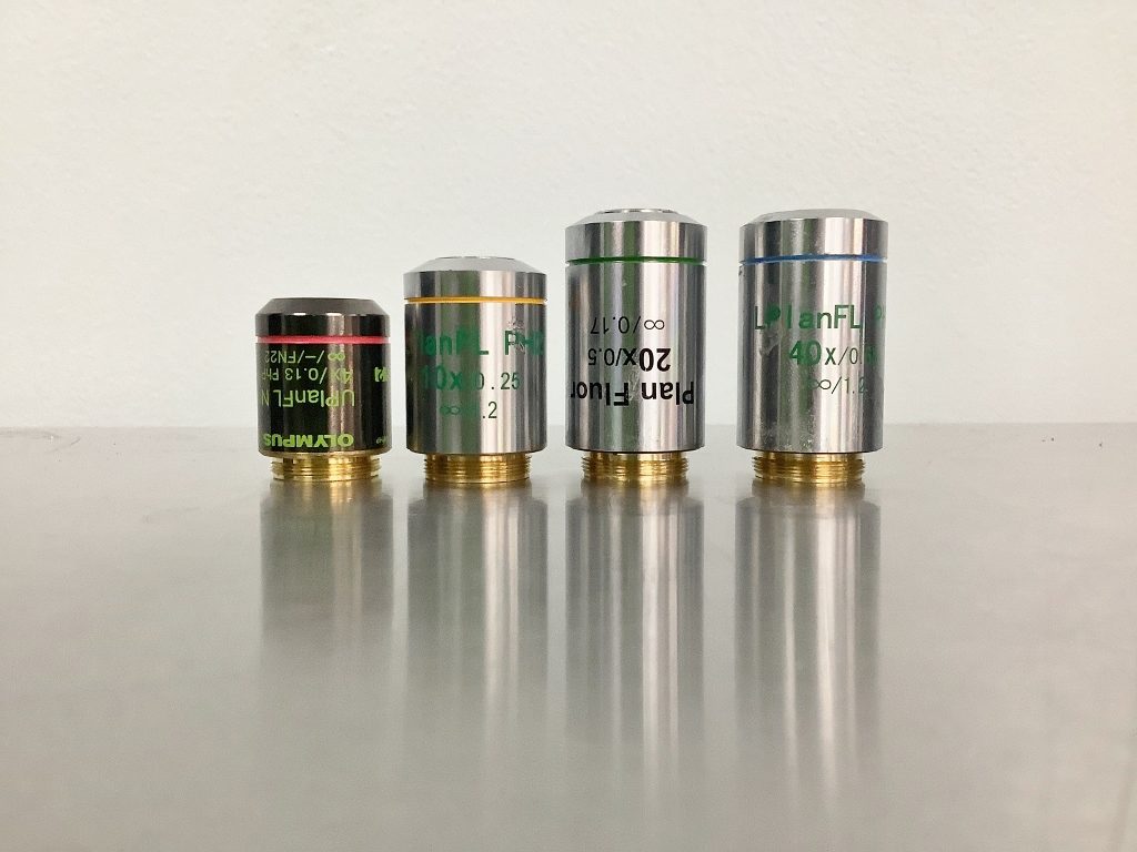 EVOS FL Digital Inverted Microscope - The Lab World Group