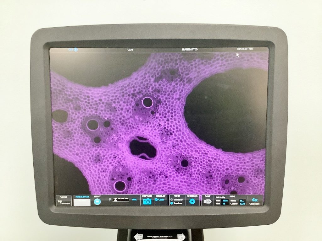 EVOS FL Digital Inverted Microscope - The Lab World Group