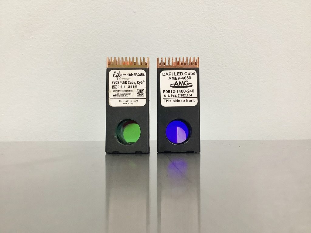 EVOS FL Digital Inverted Microscope - The Lab World Group