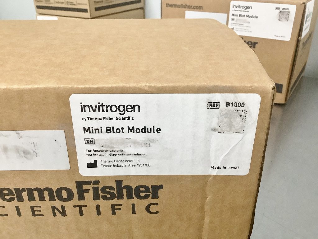 Invitrogen Mini Blot Module - Still in Box - The Lab World Group
