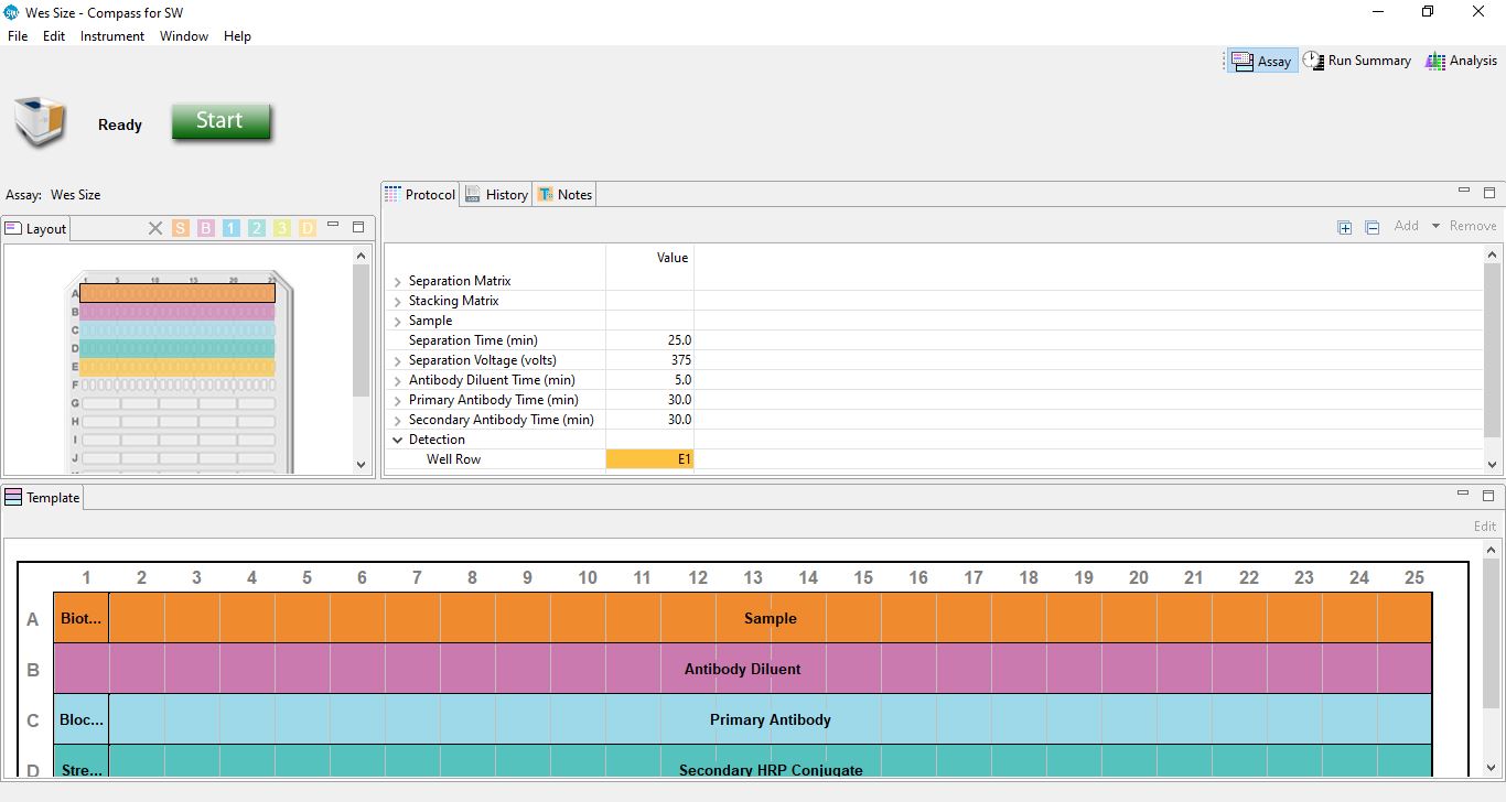 Protein Simple Wes Western Blot System