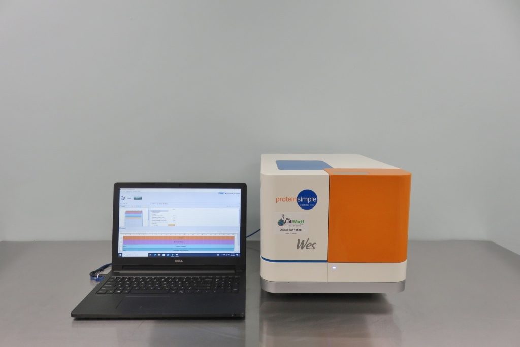 Protein Simple Wes Western Blot System