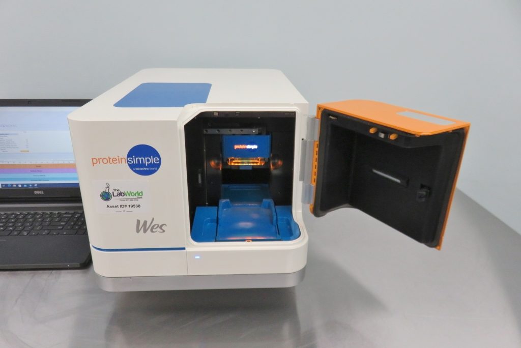 Protein Simple Wes Western Blot System