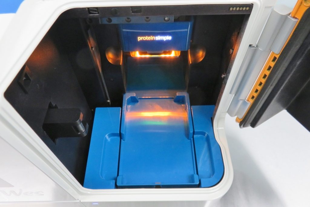 Protein Simple Wes Western Blot System