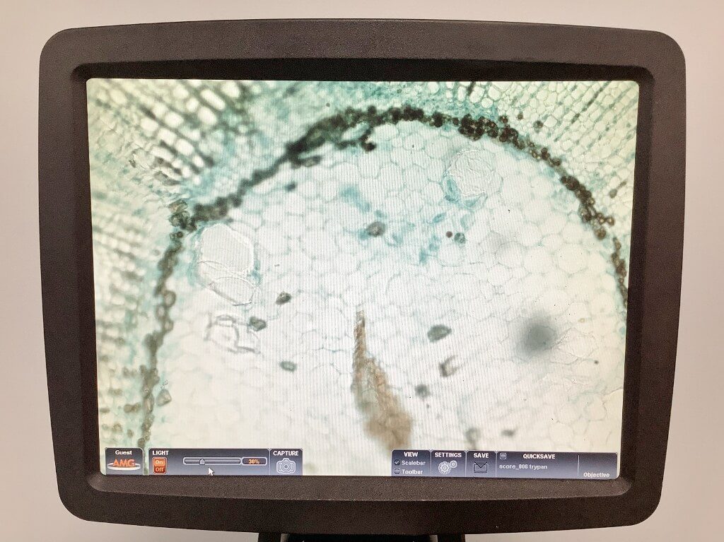 AMG EVOS XL Microscope - The Lab World Group