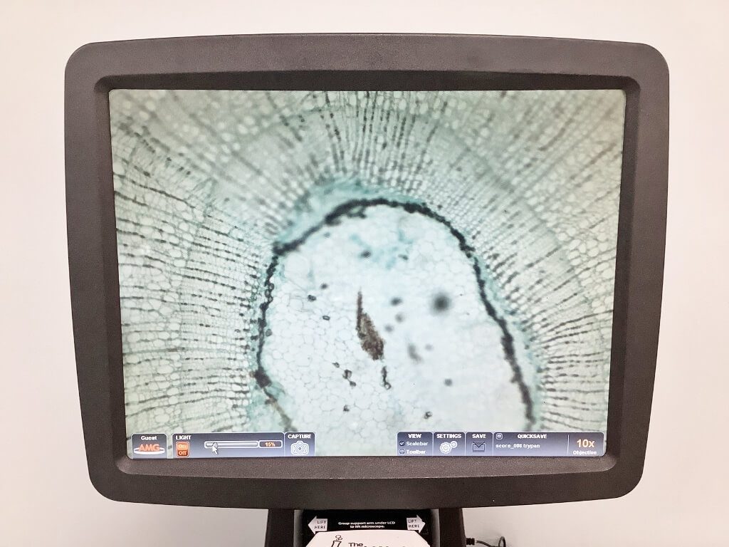 AMG EVOS XL Microscope - The Lab World Group