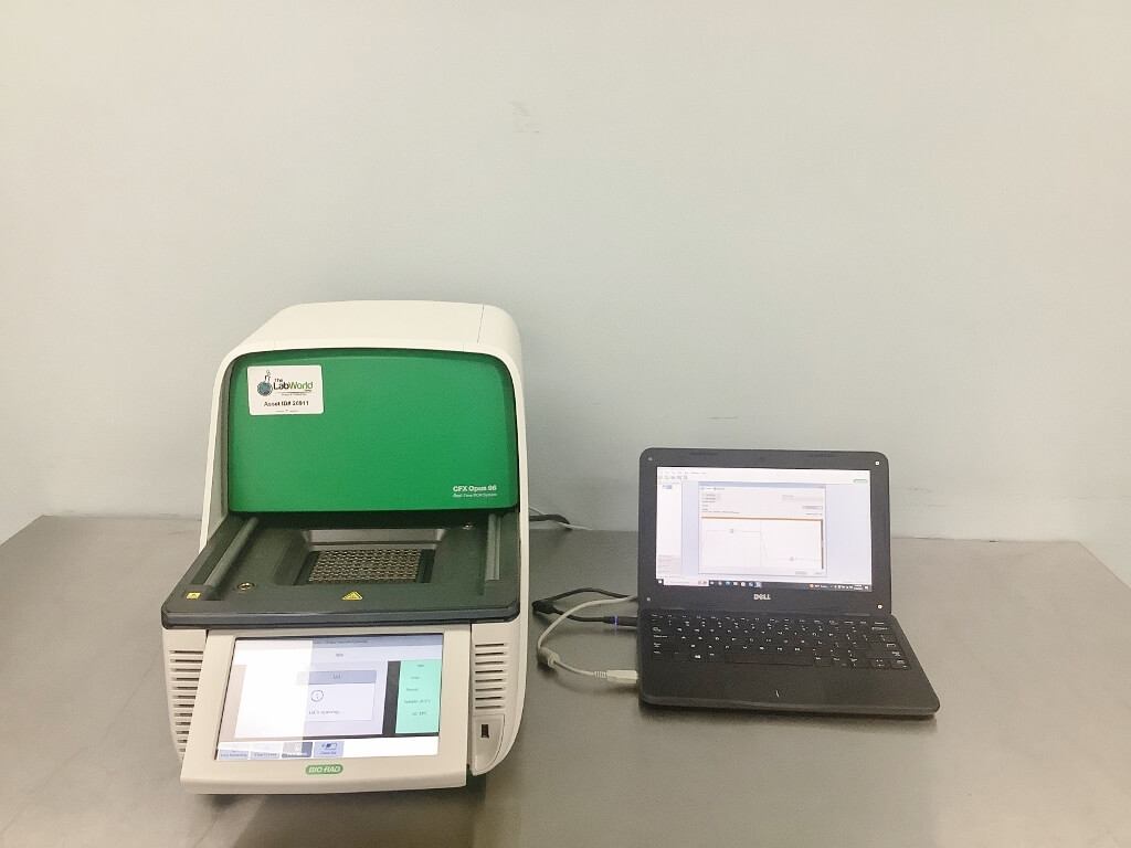 Bio Rad CFX Opus 96 Real Time PCR - The Lab World Group