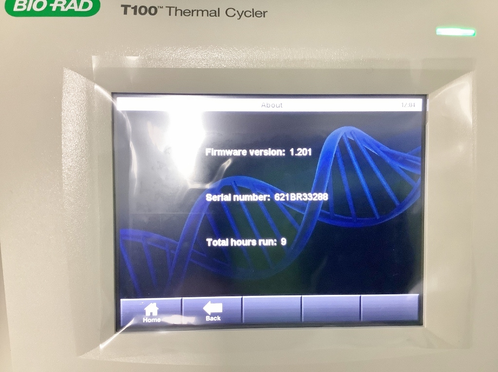 Biorad T100 Thermal Cycler - The Lab World Group