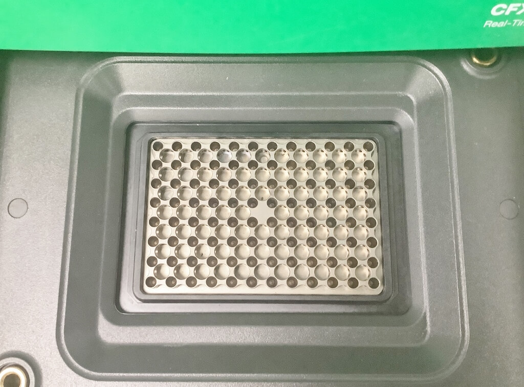 Bio Rad CFX Opus 96 Real Time PCR - The Lab World Group