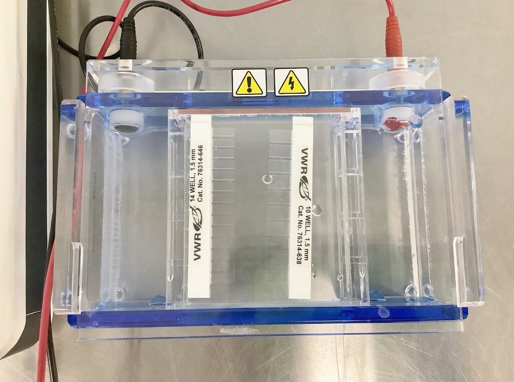 VWR Horizontal MINI Gel Electrophoresis - The Lab World Group