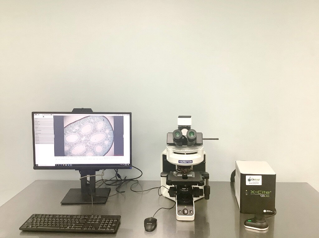 Olympus BX43F Fluorescence Microscope - The Lab World Group