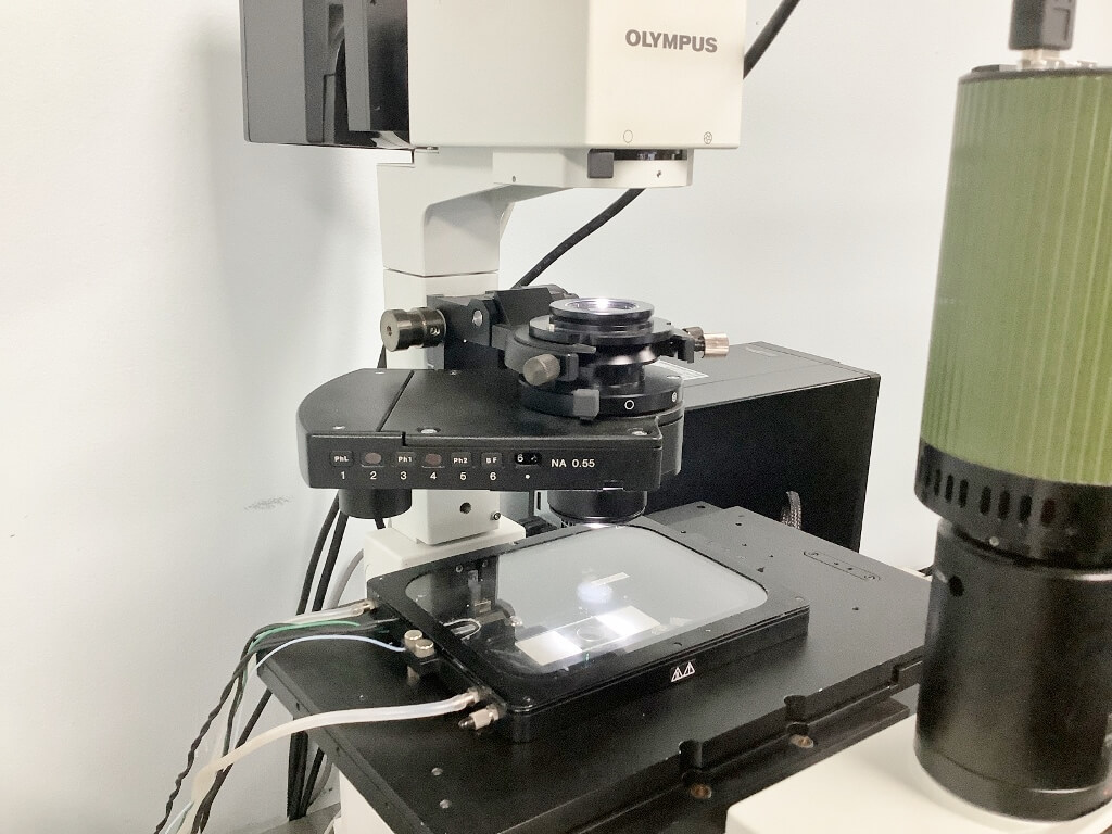 Olympus IX81 Fluorescent Microscope - The Lab World Group