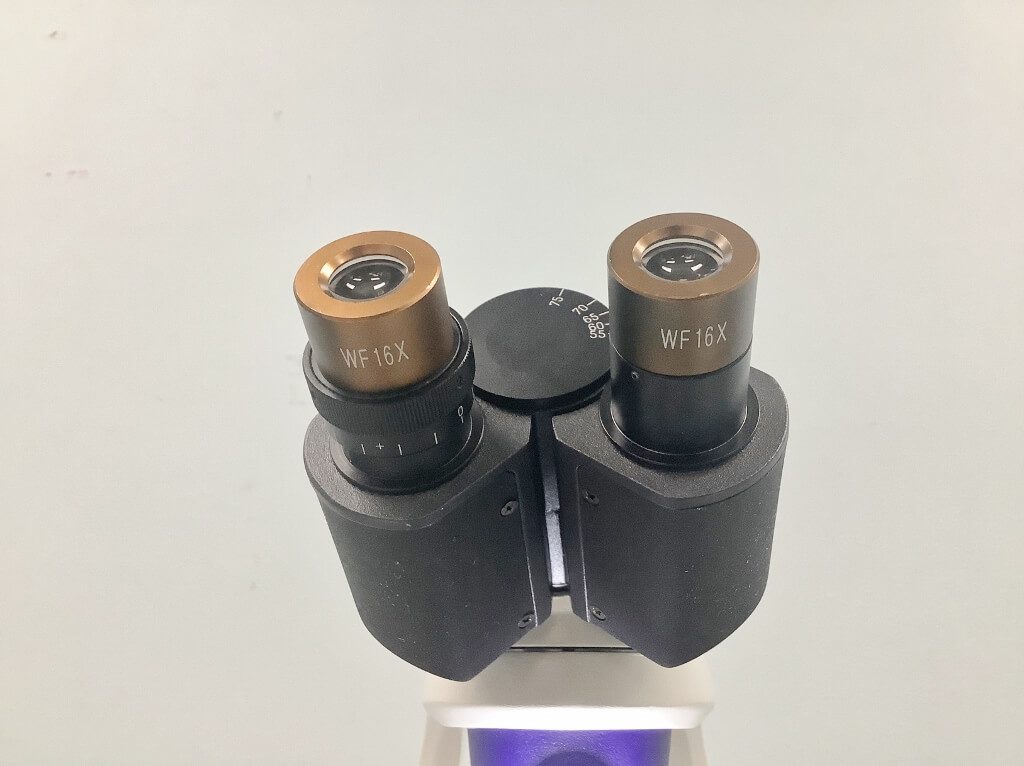 Fisher Scientific Compound Microscope - The Lab World Group