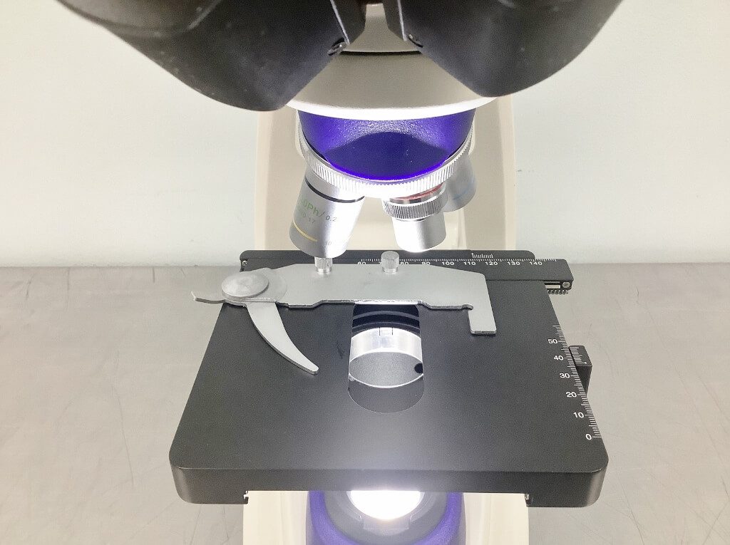 Fisher Scientific Compound Microscope - The Lab World Group