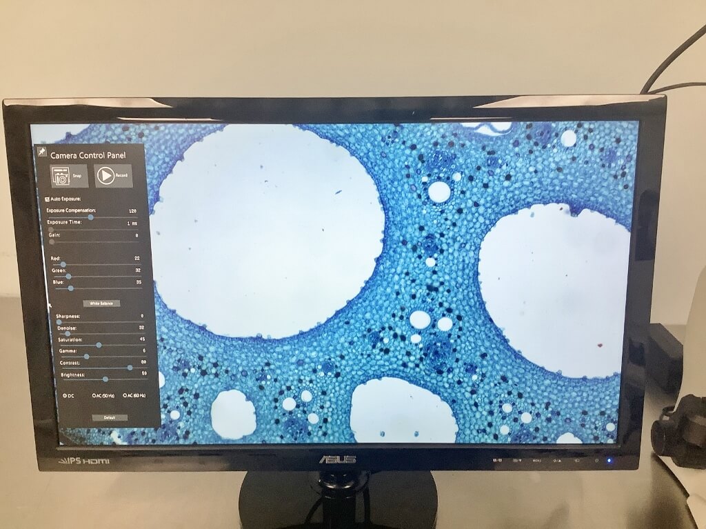 Olympus Compound Microscope CX33RTFS2