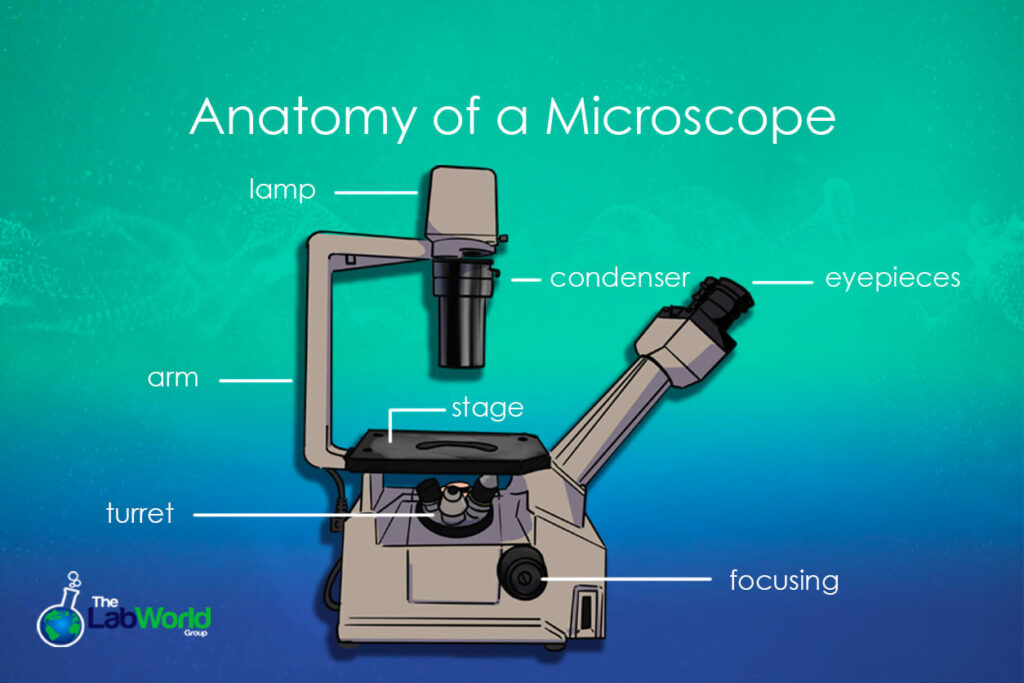 Understanding the Anatomy of a Microscope - The Lab World Group