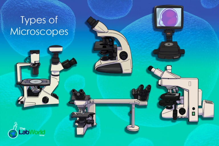 A Guide to Different Types of Microscopes - The Lab World Group