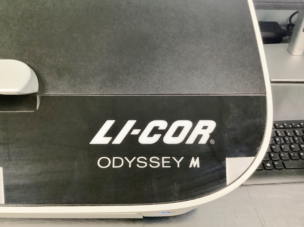 LICOR Odyssey M Imager - The Lab World Group
