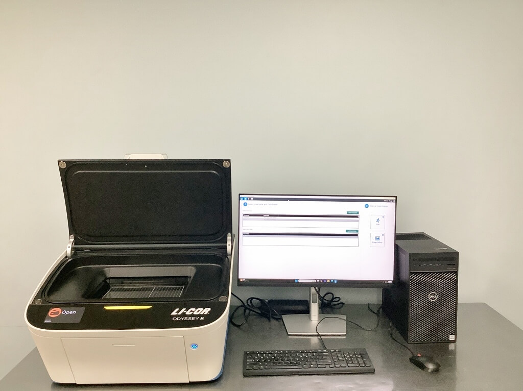 LICOR Odyssey M Imager - The Lab World Group