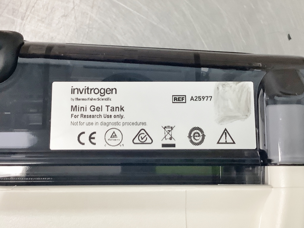 Invitrogen Mini Gel Tank - Unused in Box - Lab World Group