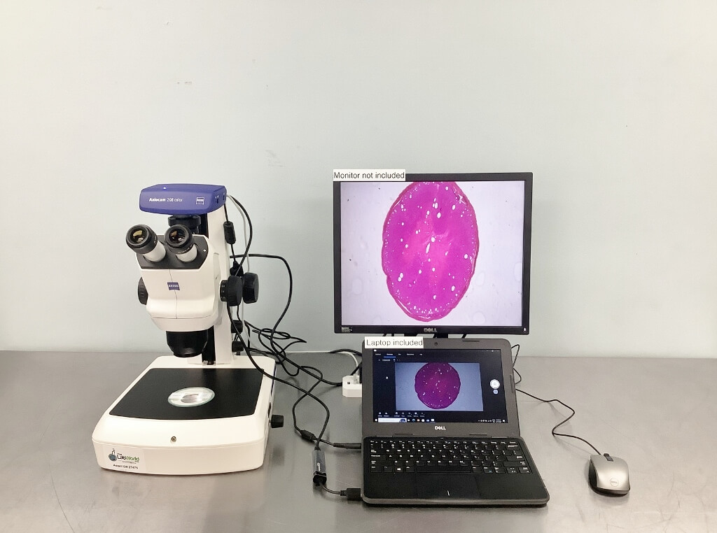 Zeiss Stereo Zoom Microscope Stemi 508