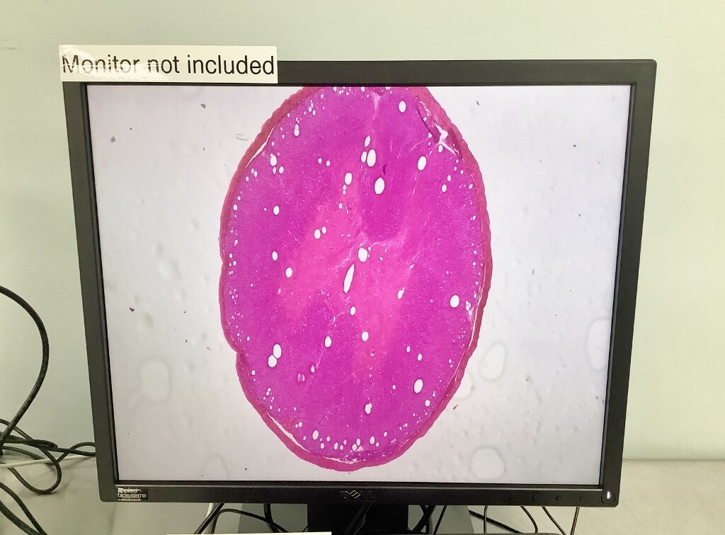Zeiss Stereo Zoom Microscope Stemi 508